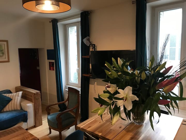 Joli 45 M2 Centre Ville Rer A Et Bois De Vincennes - Vincennes