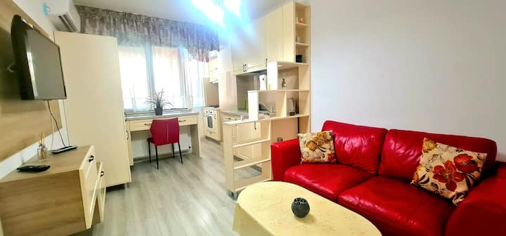 Elyse Comfortable Apartment Close To Palas Mall - Iași