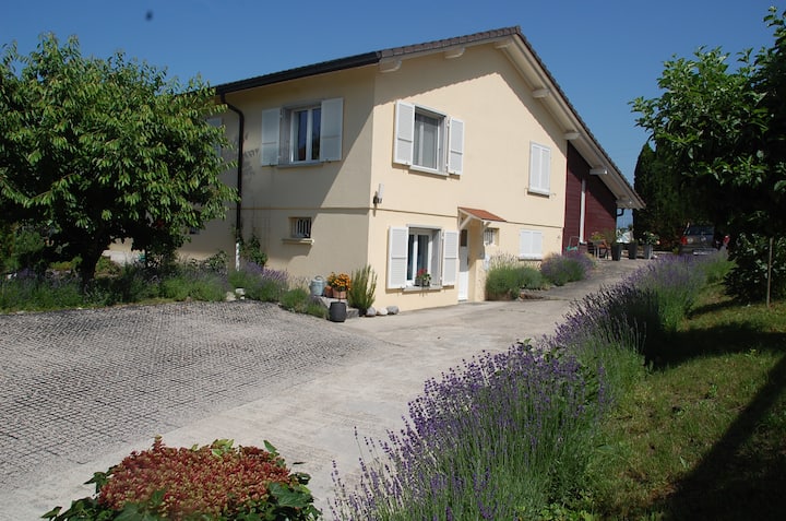 Studio Calme Avec Jardin - Min 7 Jours - Yverdon-les-Bains