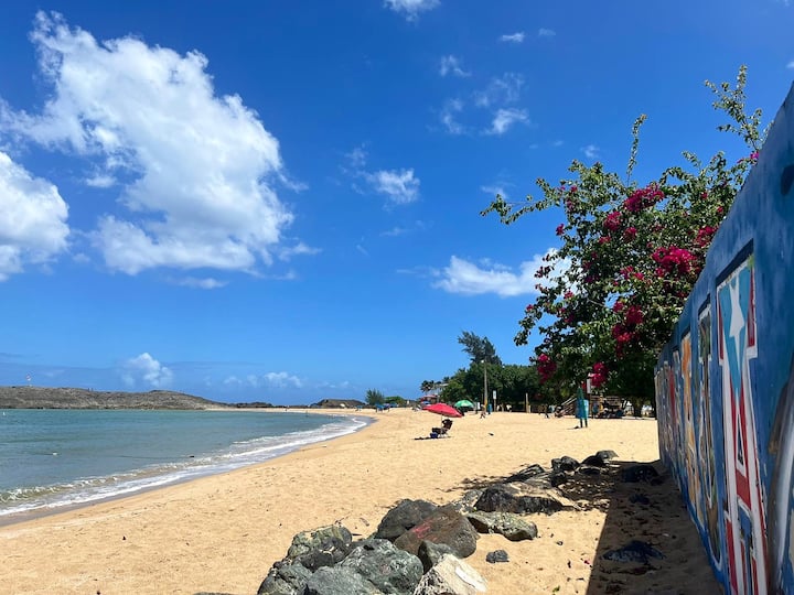 Villa Gladys - Luxury Villa and Playa Puerto Nuevo - Villas for Rent in ...