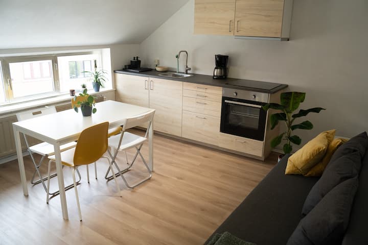 Private 2 Room Apartment In Ghent's Greenest Area - Gent