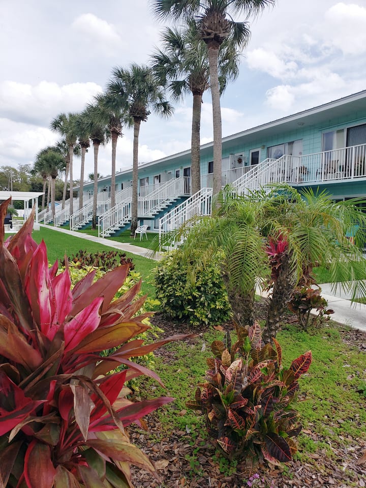 Beachside Beauty With A Pool - New Smyrna Beach, FL