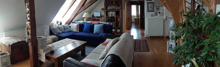 Bretzel, Appartement Mansardé Face à La Cathédrale - Strasbourg