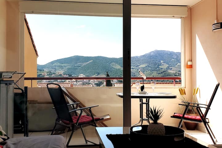 Bel Appartement Avec Parking Gratuit - Banyuls-sur-Mer