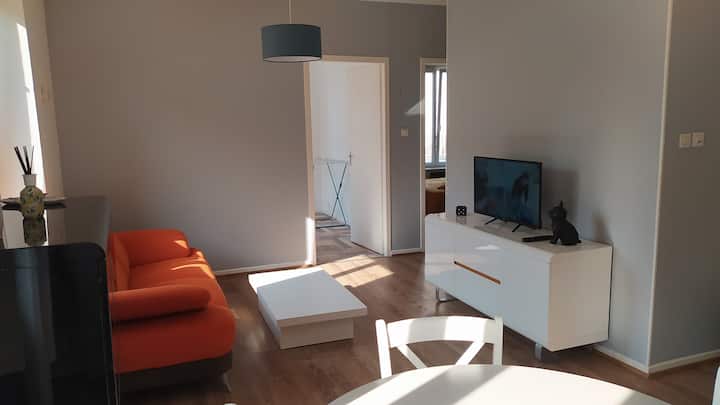 Appartement Fx 1 - Saint-Dié-des-Vosges