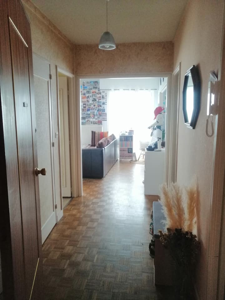 Superbe Appartement Avec Parking - Le Mans