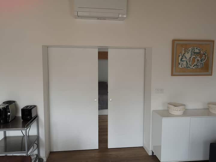 Magnifique T2  50 M2,  Jardin Ombragé - Balaruc-le-Vieux