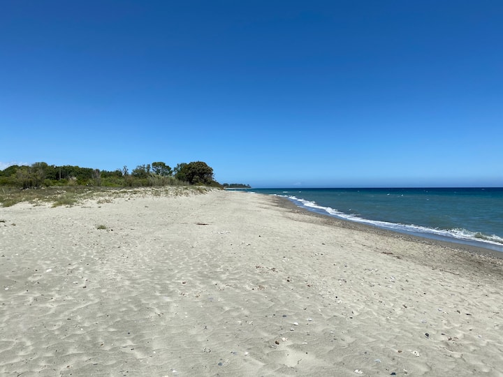 Dupleix Les Pieds Dans L’eau Samedi Au Samedi - Corsica