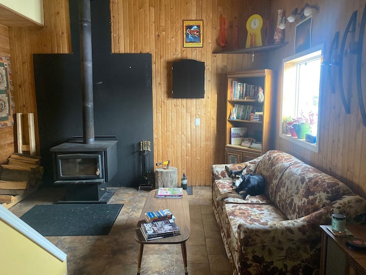 Bird & Breakfast ~ Birdwatchers Paradise! - Edson