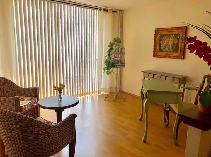 Amplio Departamento Insurgentes Sur - Mexico City