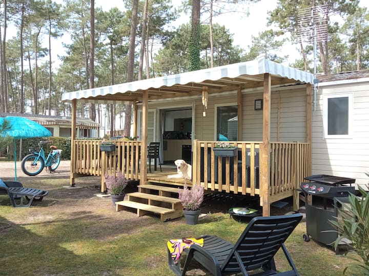 "Douces Landes",  Location Mobil Home à Contis - Saint-Julien-en-Born