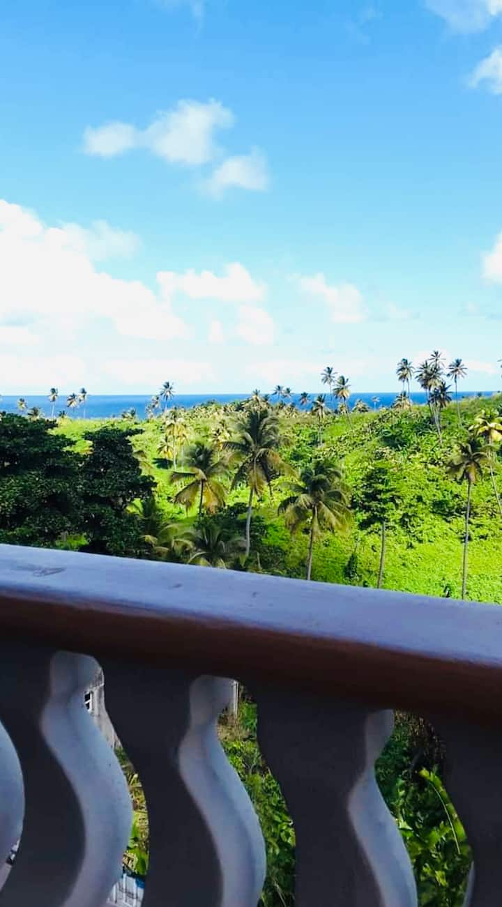 Edens Inn Villa 5 Min From The Airport - ドミニカ