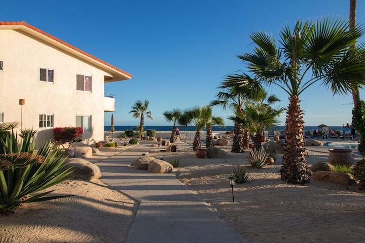 Casa Viva  Your Perfect Beachfront Retreat! - San José del Cabo