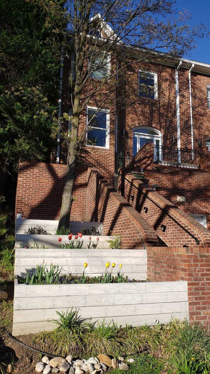 Charming Palisades Apartment Near Georgetown - Arlington, VA