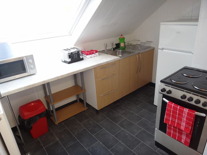 Spacious Attic Studio Room For 2 Guests - Sheffield