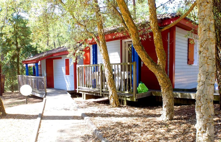 Chalet 5 Personnes à 20 Min à Pieds De L'océan - Messanges