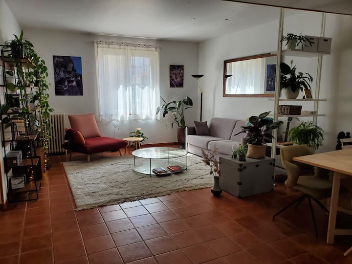 Bel Appartement Lumineux, 60m2,quartier Beaux-arts - Montpellier
