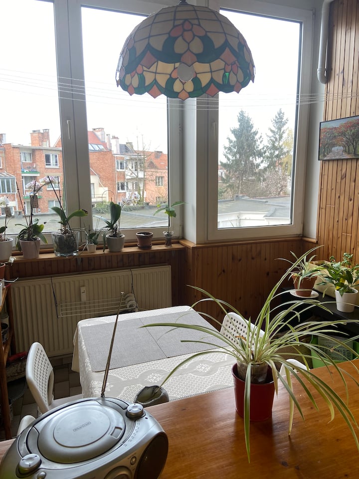 Superbe Appartement Calme à 2 Pas De L'université -