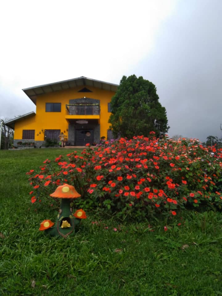 Hever Highland House!