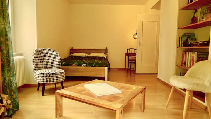 Chambre Privée, Poêle Et Jardin - Vevey
