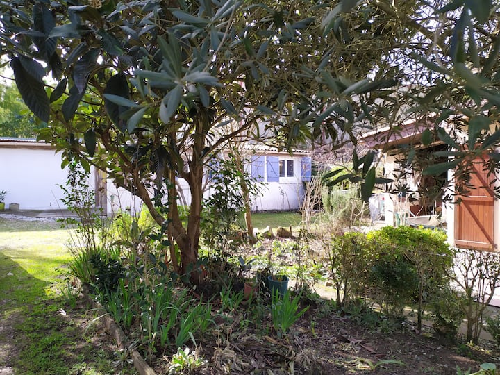 Maison En Centre Ville Avec Un Très Beau Jardin - Mont-de-Marsan