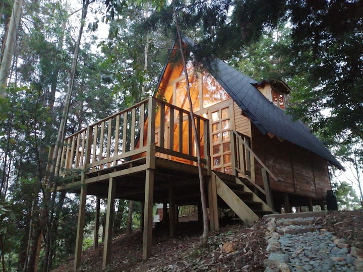 Cabaña Sanary. - Guarne