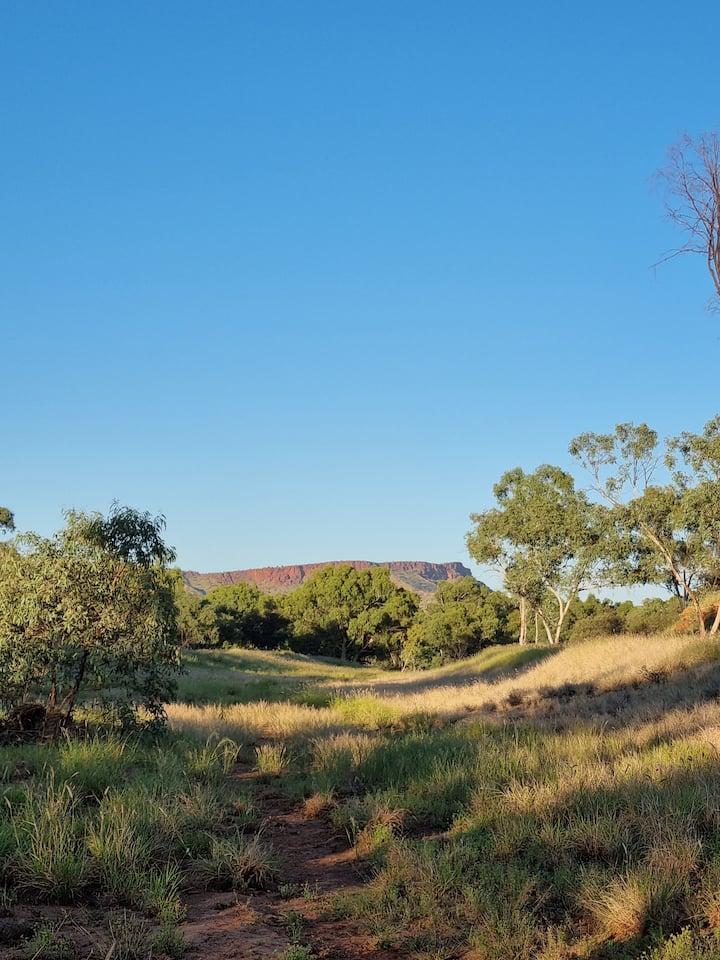 Alice Springs Holiday Rentals & Homes - Northern Territory, Australia ...