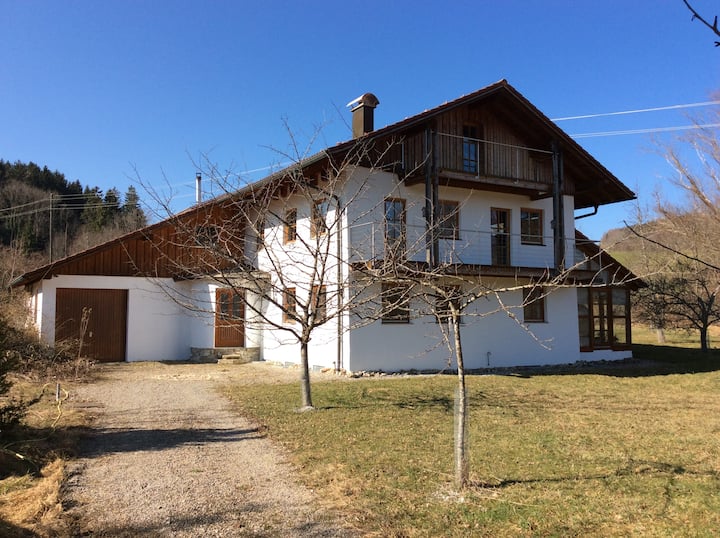 Streuobstwiese/ Biberrevier Im Oberallgäu - Wiggensbach