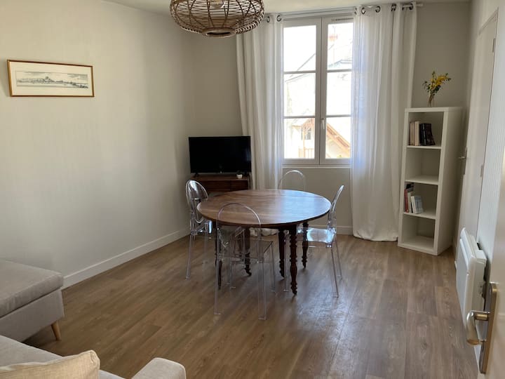 Appartement Centre Saumur Bord De Loire - Saumur