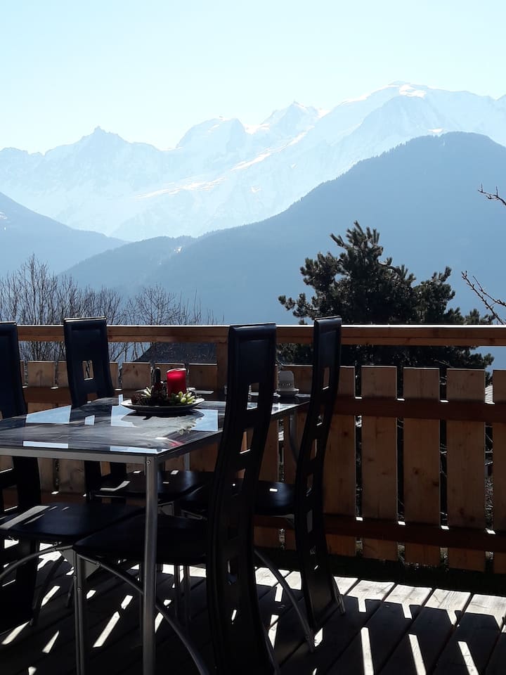 Appartement Face Au Mont Blanc, Terrasse Et Jardin - Passy