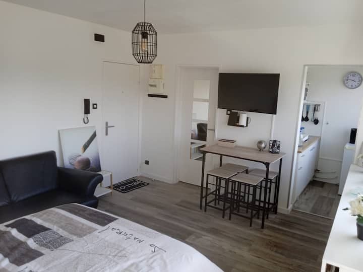 Jolie Grand Studio Avec Vue Sur Les Vosges, Balcon - Mulhouse