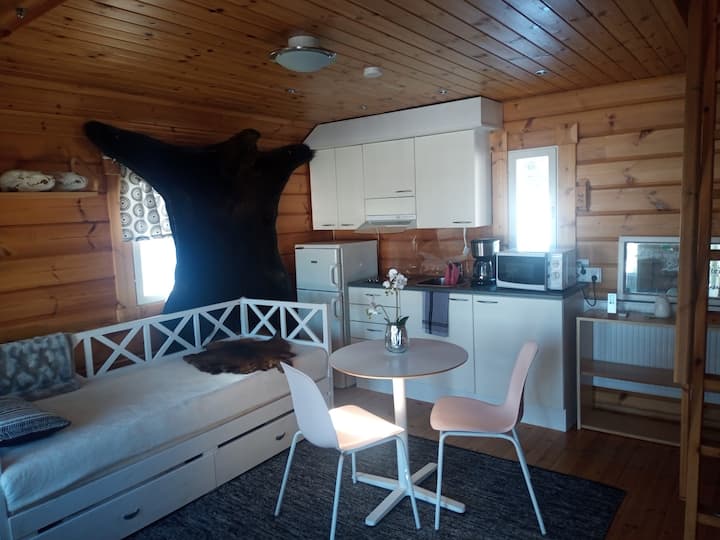 Saunamökki Pielisjoen Rannalla - Eno