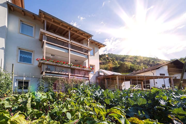 Ignis Ferienwohnung Auf Der Sonnenseite Goldrains - Goldrain