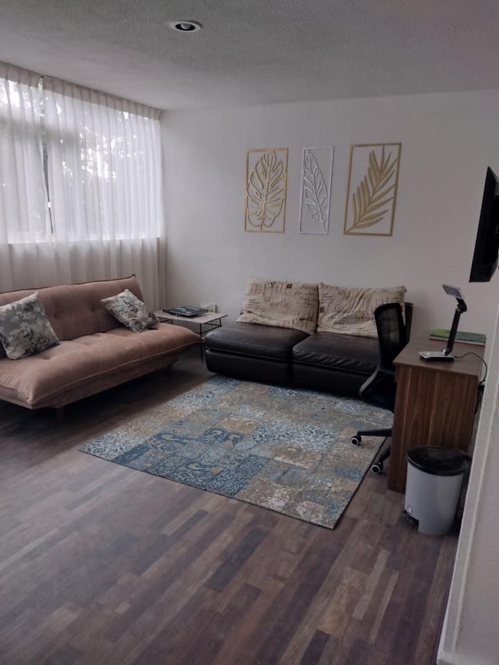 Beautiful Department In San Miguel Chapultepec 4px - Mexico City