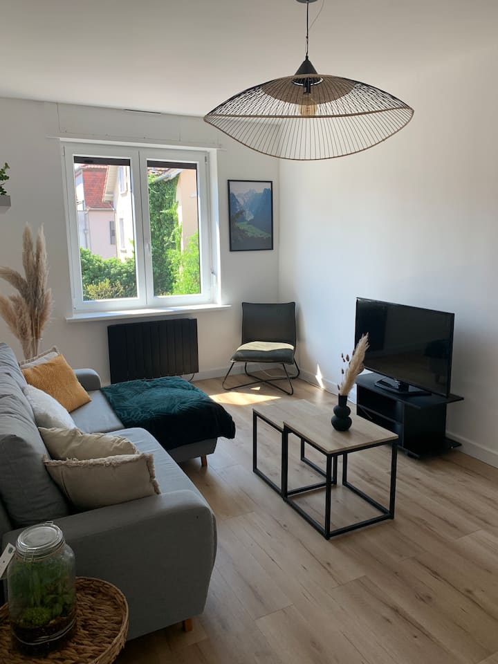 Appartement Cosy à 5 Min Du Centre De Strasbourg - Schiltigheim