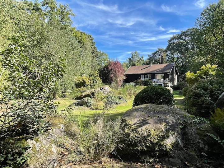 Chalet Du Gâtinais, Merveille Au Coeur De La Forêt - Milly-la-Forêt