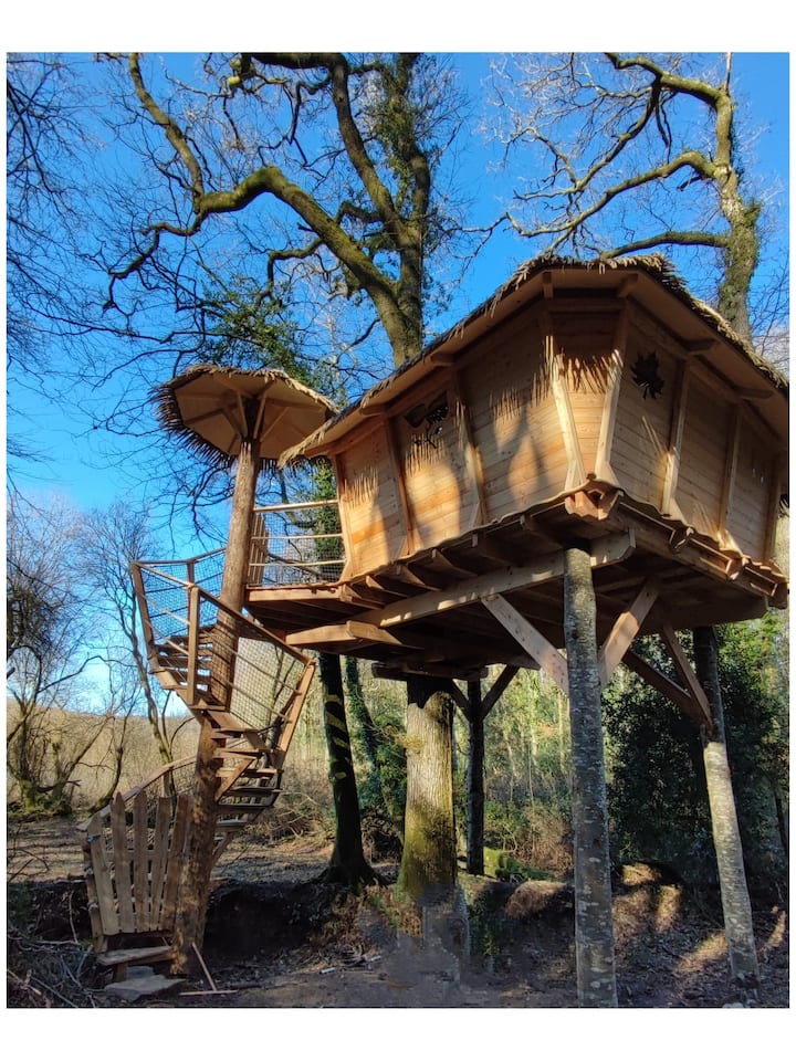 Cabane Lune De Miel
Dans Les Arbres - Lac de Guerlédan