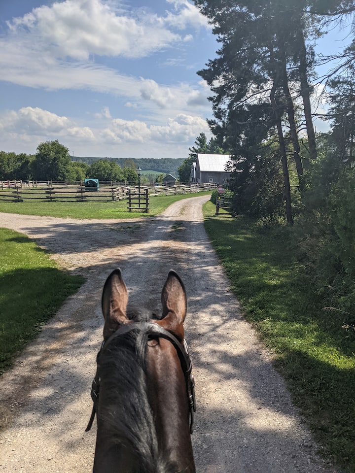 Charming 1 Bdrm + Den On A Beautiful Horse Farm. - Hockley Valley, ON