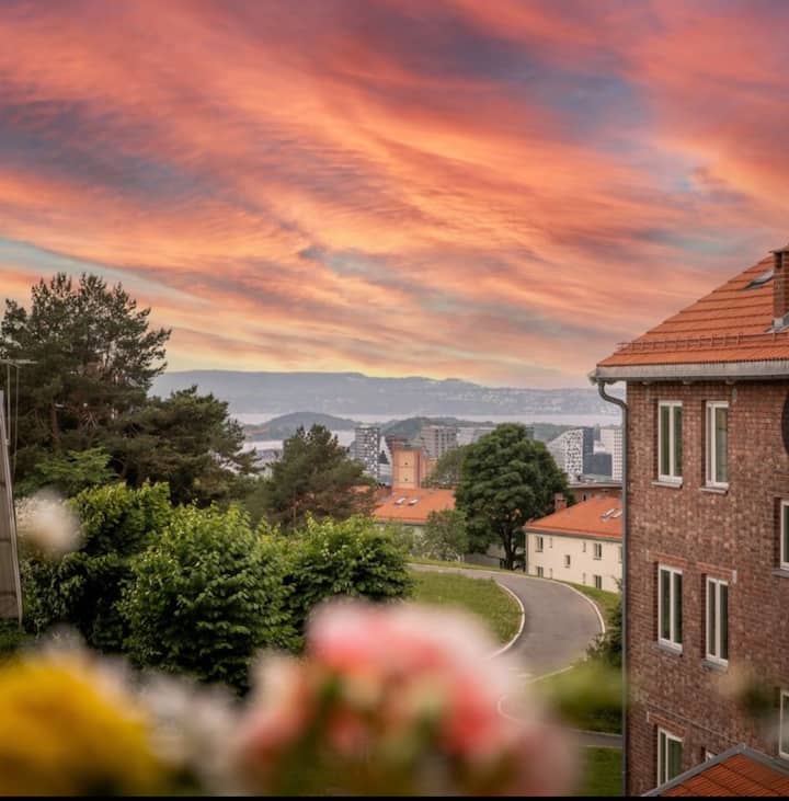 Nydelig Loftsleilighet På Keyserløkka - Oslo