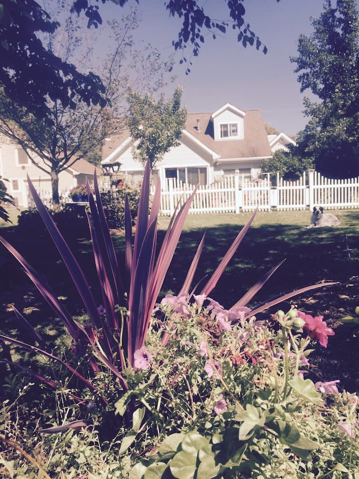 Portage Lake Cabin Rentals | Cottage and Cabin Rentals | Airbnb