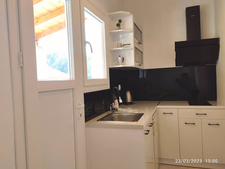 Alegria Studio1 - Paxi