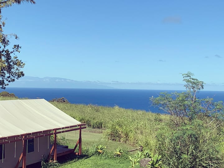 Ocean View Platform Tent At Waipiʻo Lodge - Hawaï