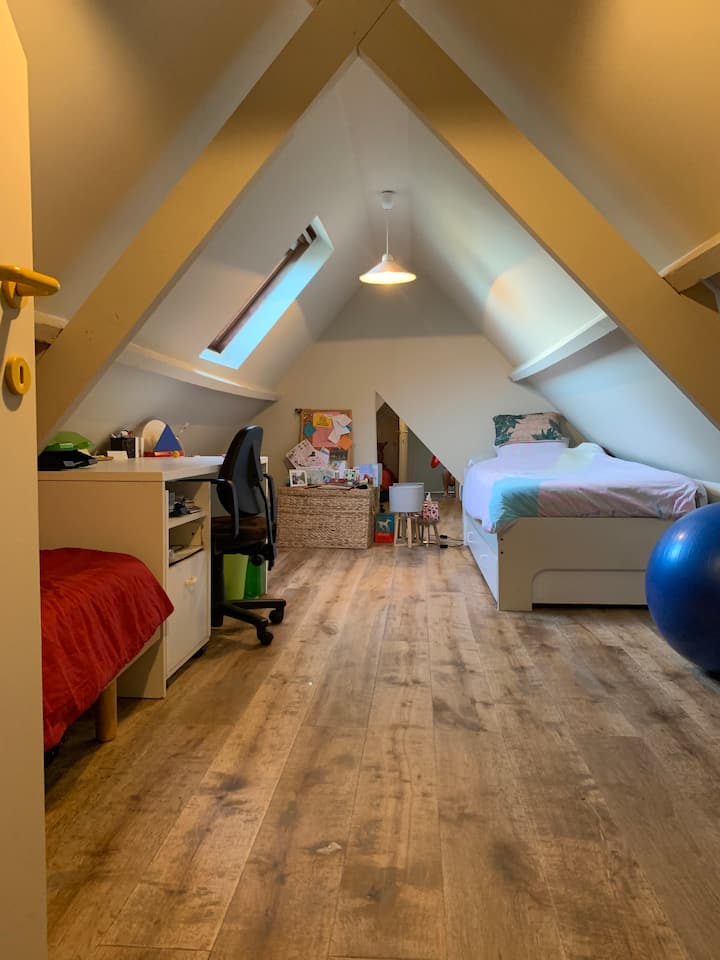 Rustige Zolderkamer - Harelbeke