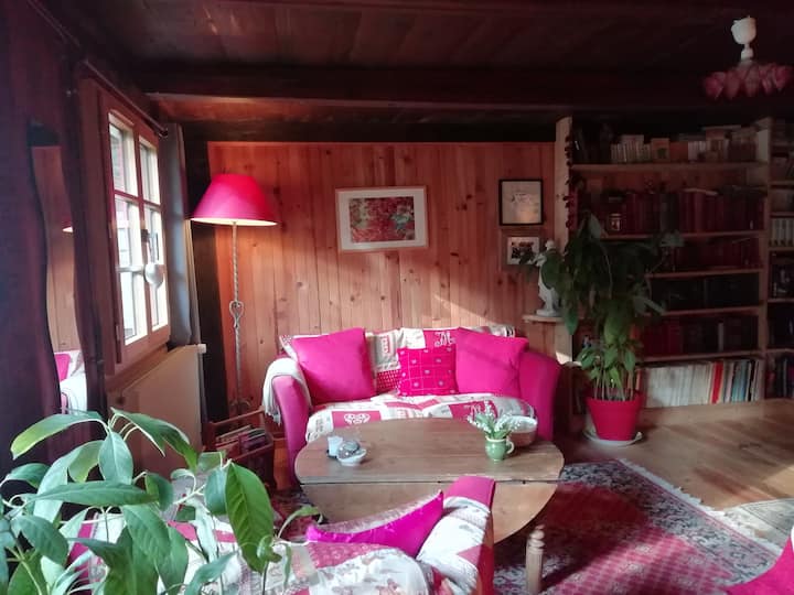 Une Chambre/salon Dans Un Chalet Authentique - Saint-Jean-d'Aulps