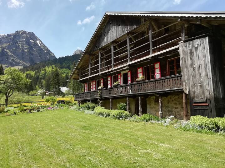 Une Chambre/salon Dans Un Chalet Authentique - Avoriaz