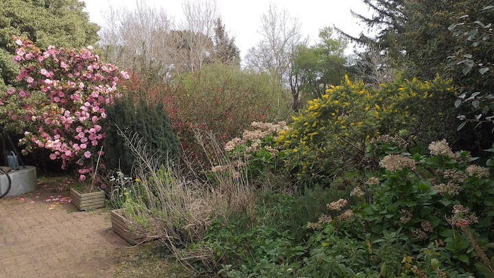 Cottage Vert En Pleine Nature - Plage de Locmaria