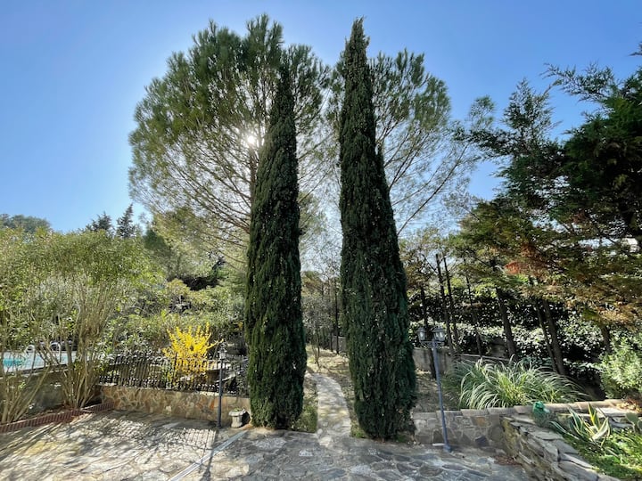 La Poulxoise - Nîmes