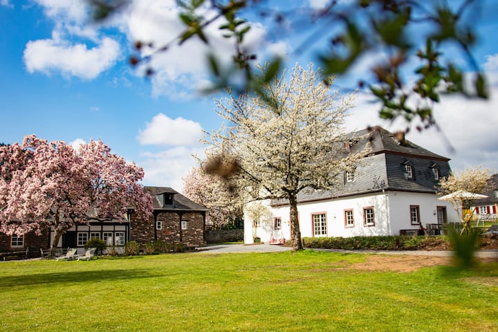 Martinshof-exclusive House With Garden On  Moselle - Traben-Trarbach