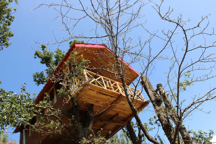 Pine Wood Tree house WIFI Mountain view - Casas en el árbol en renta en ...