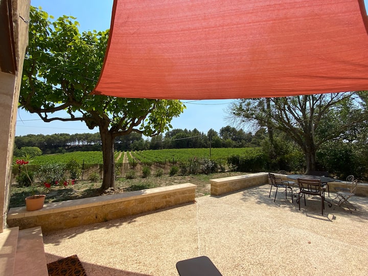 Gîte Au Coeur D'un Domaine Viticole - Saint-Cannat